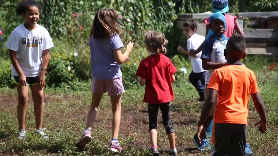 Wallace Arts setup - Wil Weldon